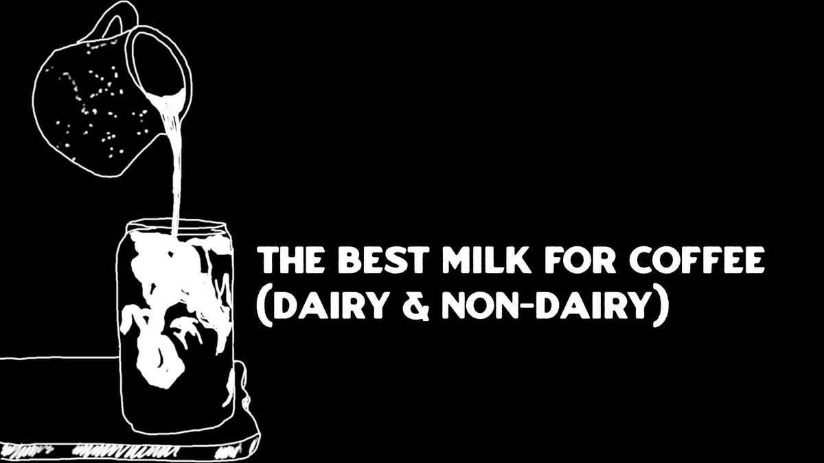 The Best Milk for Coffee - Dairy & Non-Dairy Alternatives – Nowhere ...